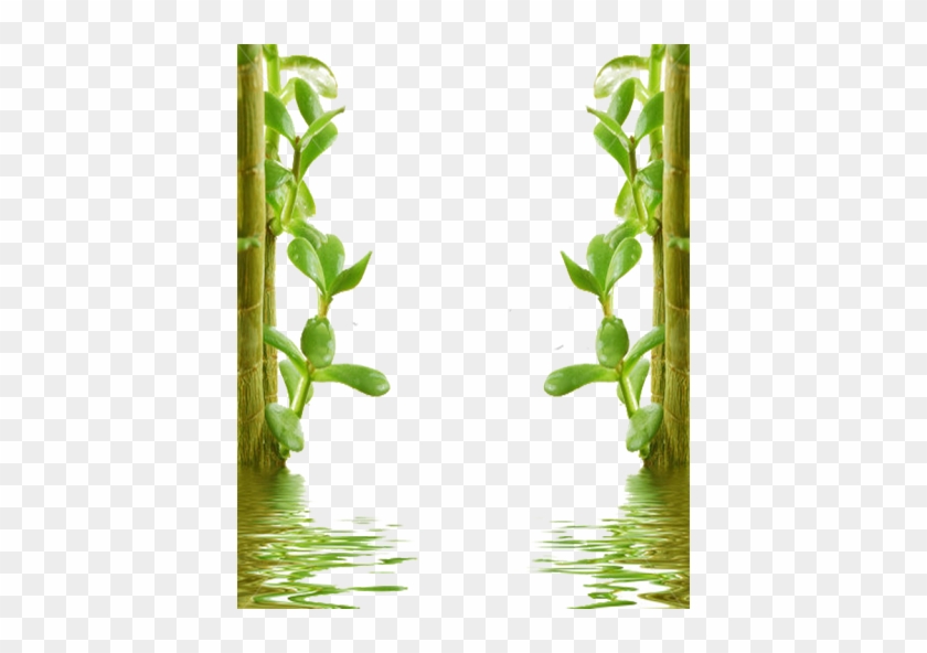 Natural Png - Natural Png - Free Transparent PNG Clipart Images Download