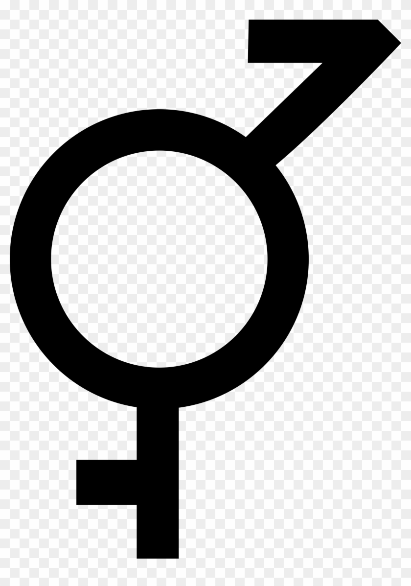 Demigirl Demiboy Symbol By Pride-flags - Demi Symbol - Full Size PNG ...