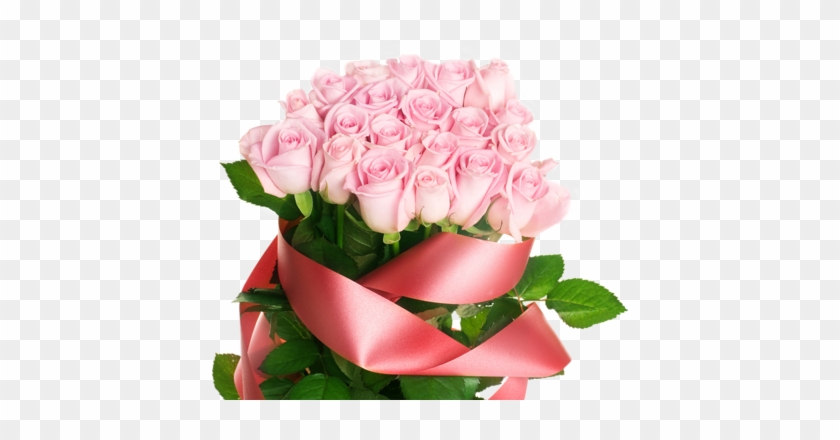 6 - Perfect Bouquet Of Pink Roses Wrapped In A Bow: Lined - Free ...