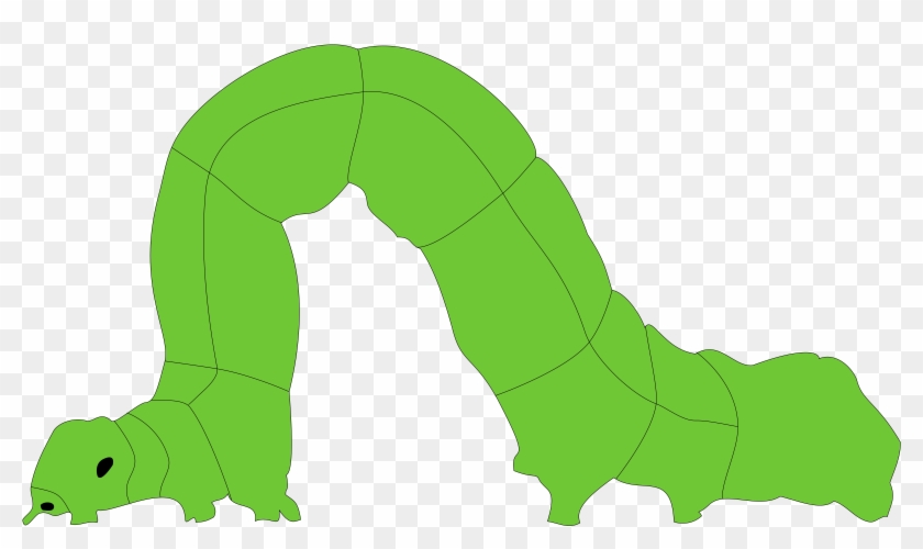 Big Image - Inchworm Clipart - Full Size PNG Clipart Images Download