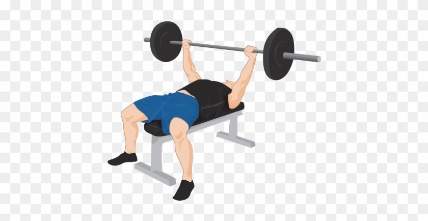 Exercise Bench Png Transparent Images - Bench Press Weights - Full Size ...