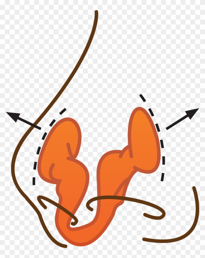 Orangedevicenose - Illustration - Free Transparent PNG Clipart Images ...