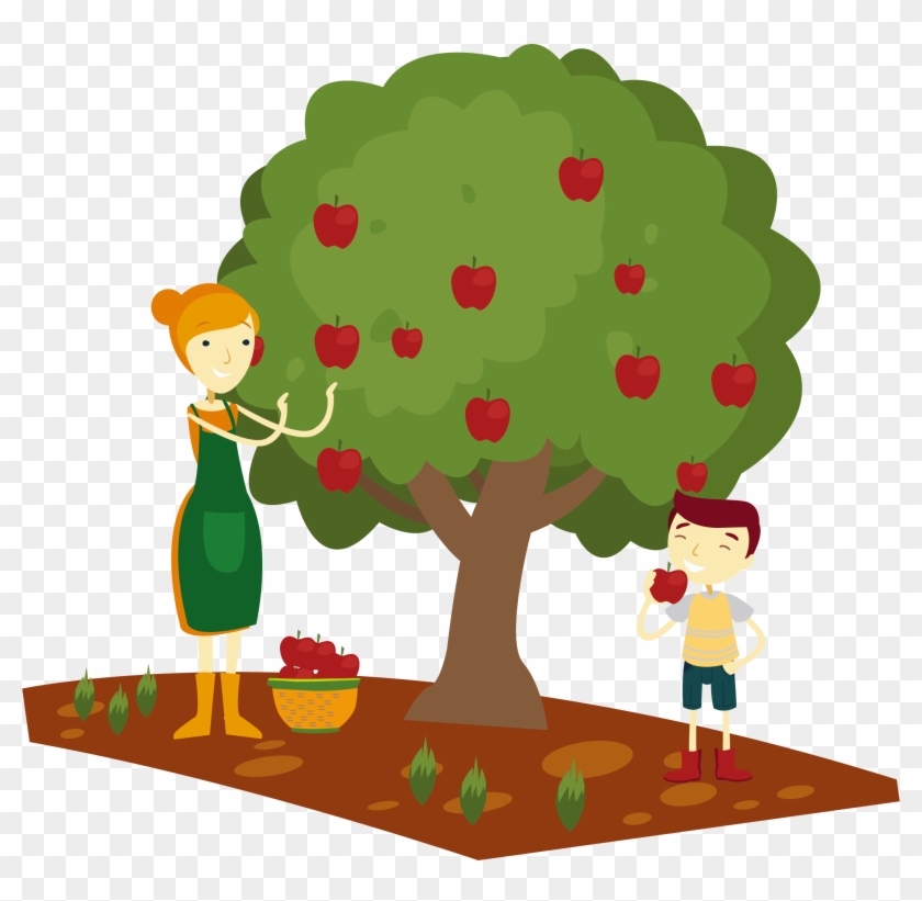Picking Apple Work Cartoon Vector Material 2103*1957 - Picking Apple ...