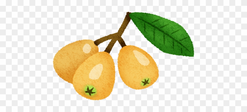 Loquat - Illustration - Free Transparent PNG Clipart Images Download