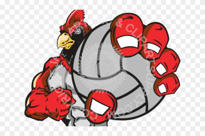 Cardinal Clipart Volleyball - Wtvb - Free Transparent PNG Clipart ...