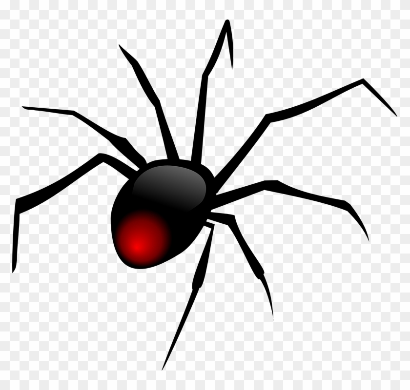 Cartoon Spiders - Free Transparent PNG Clipart Images Download