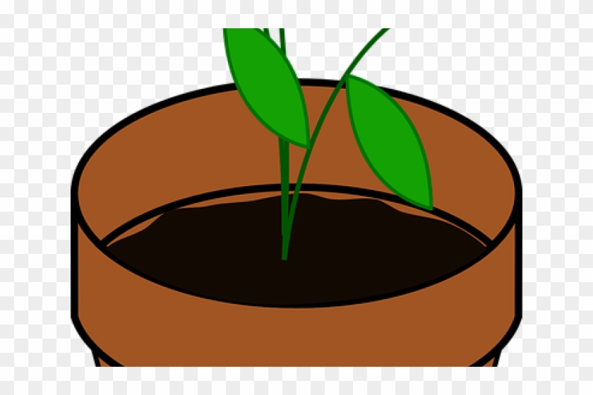 Potted Plants Clipart Grows - Plant Clip Art - Full Size PNG Clipart ...