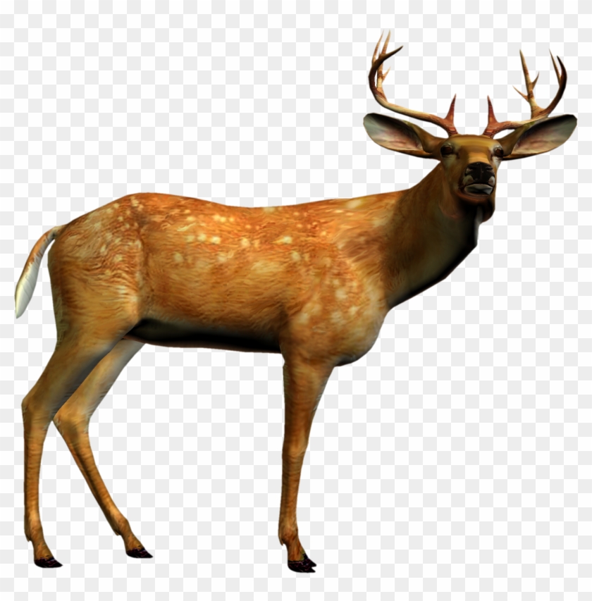 Reindeer Clip Art - Reindeer Clip Art - Full Size PNG Clipart Images ...