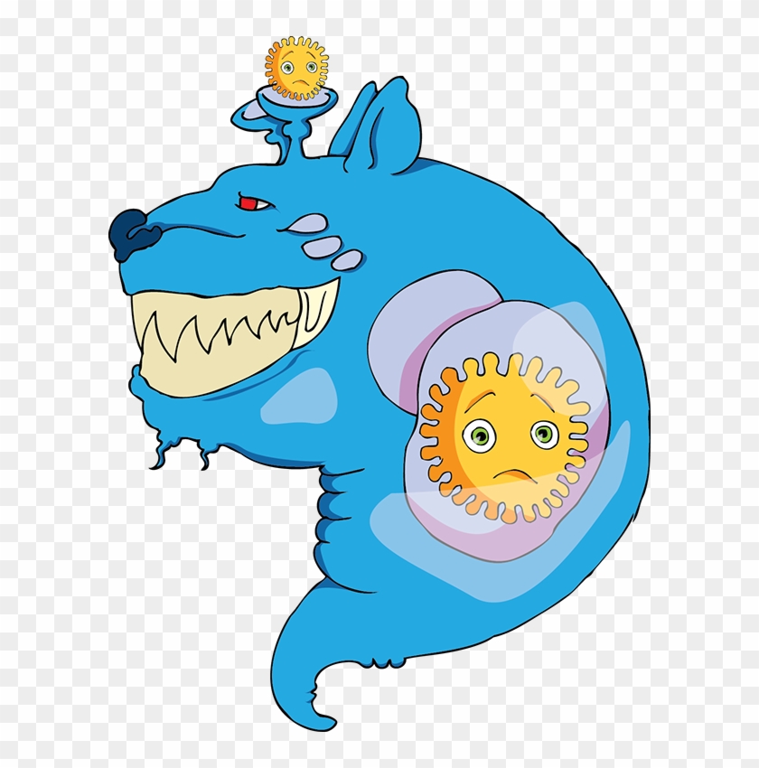 Macrophage Cell Got The Antigen - Cartoon - Full Size PNG Clipart ...
