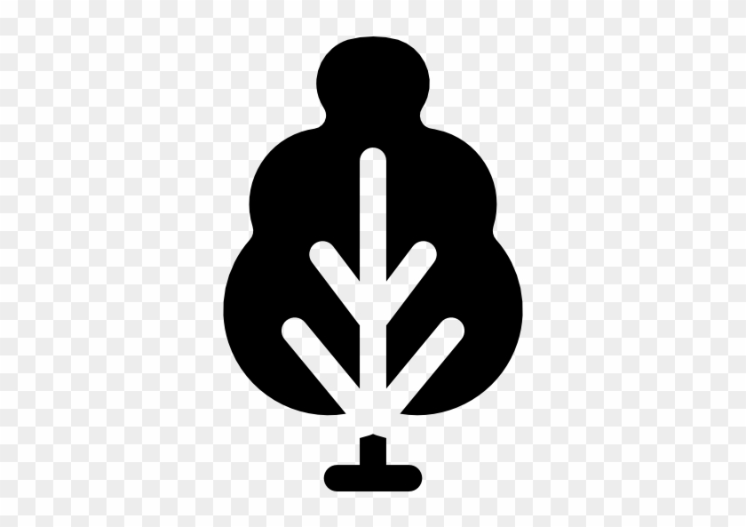 Birch Tree Free Icon - Emblem - Full Size PNG Clipart Images Download