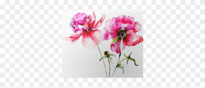 Breast Cancer Clear & Simple: All Your Questions - Free Transparent PNG ...