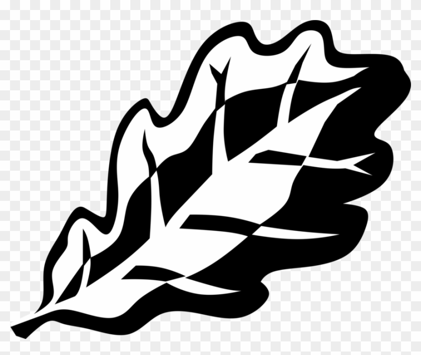 Vector Illustration Of Deciduous Forest Tree Oak Leaf - Illustration ...