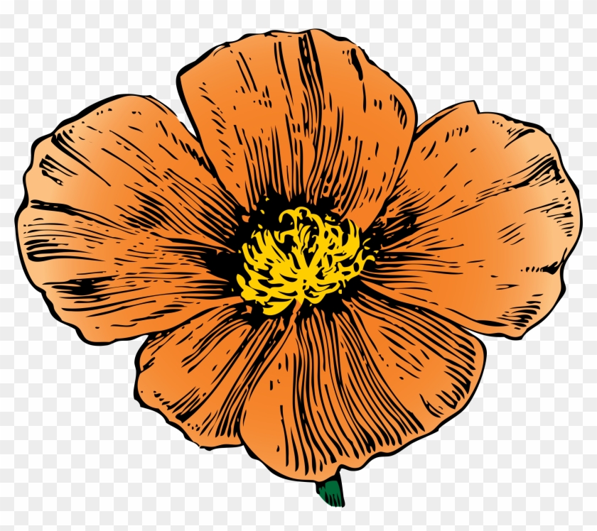 Big Image - California Poppy Png - Full Size PNG Clipart Images Download