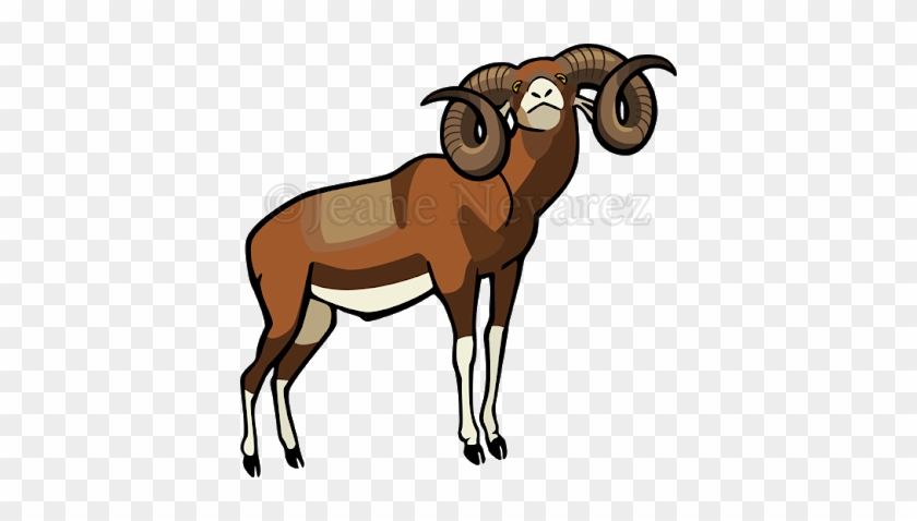 Mouflon - Mouflon Vector - Free Transparent PNG Clipart Images Download