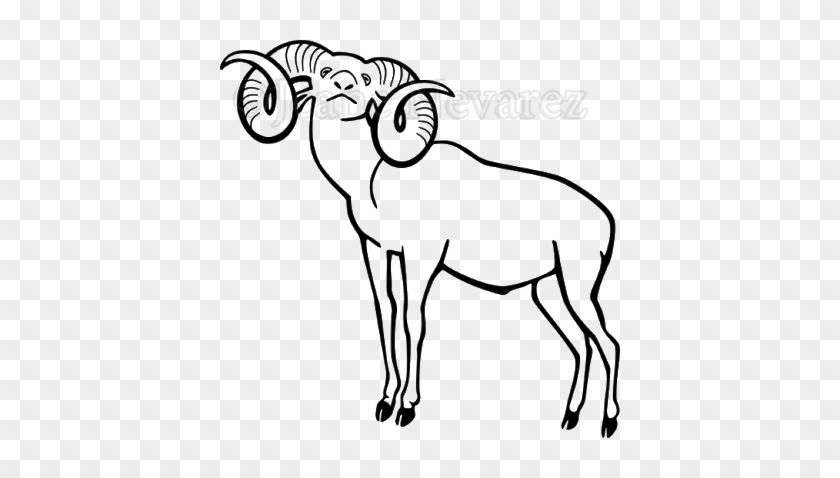 Proud Ram - Mouflon - Free Transparent PNG Clipart Images Download