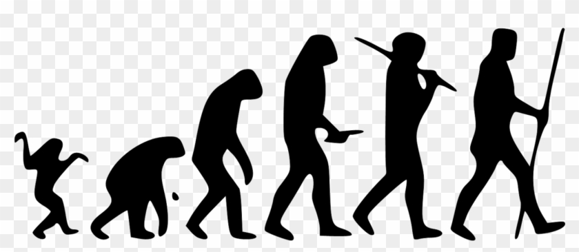 Ape To Modern Man - Disegno Tecnico Passo A Passo - Full Size PNG ...