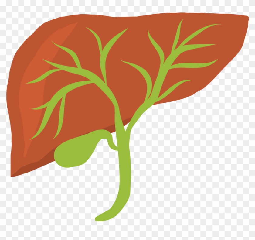 Laparoscopic Cholecystectomy - Laparoscopic Cholecystectomy - Free ...