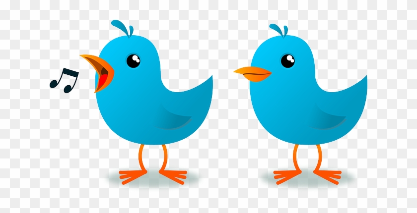 Blue Cartoon Birds Vector-symbol Of Twitter - Cartoon Bird - Full Size ...