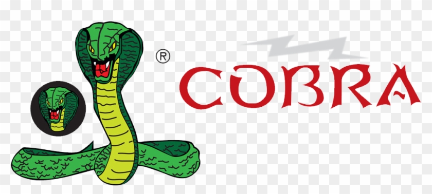 Cobra Fireworks - Di Blasio Elio - Full Size PNG Clipart Images Download