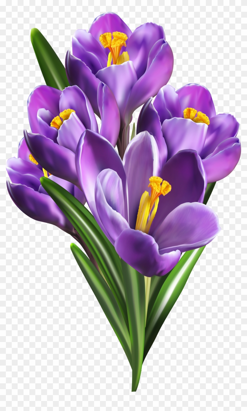 Image File Formats Lossless Compression - Clip Art - Free Transparent ...