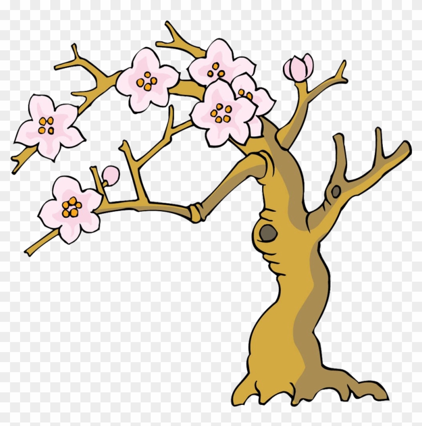Peach Tree Cartoon - Cartoon - Full Size PNG Clipart Images Download