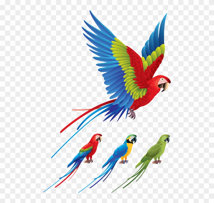 Parrot Bird Red And Green Macaw Clip Art - Parrot Vector Free - Full ...