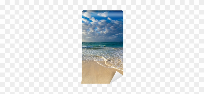 Shore - Free Transparent PNG Clipart Images Download