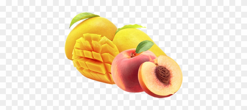 Image Module - Peach Kernel Oil. 100% Pure / Natural / Undiluted ...