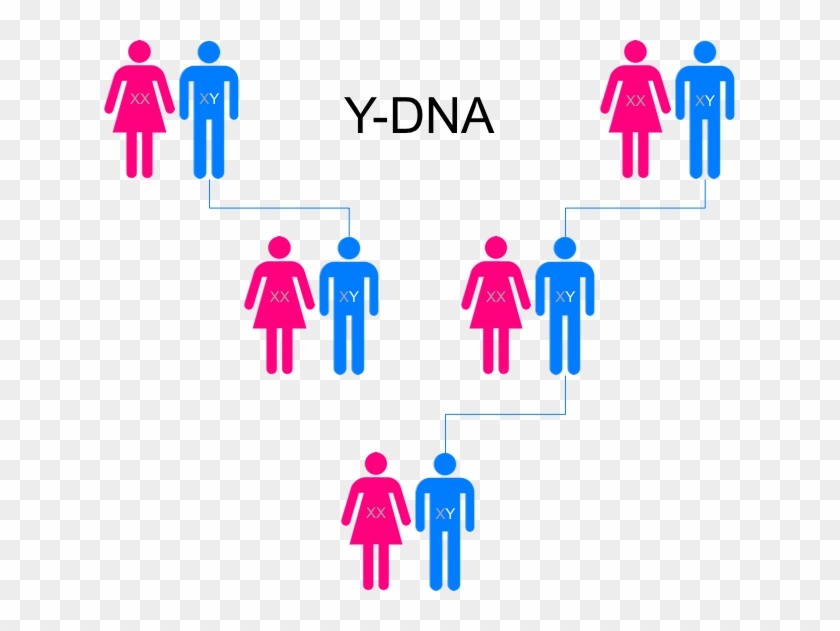 Paternal Line - Divorcing Smartly: The End Of A Marriage Isn't The ...