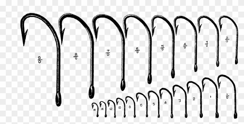 Fishing Hook Sizes - Fish Hook Size Scale - Full Size PNG Clipart ...