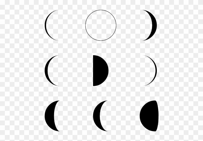 Moon Phase - Moon Phases Vector - Full Size PNG Clipart Images Download