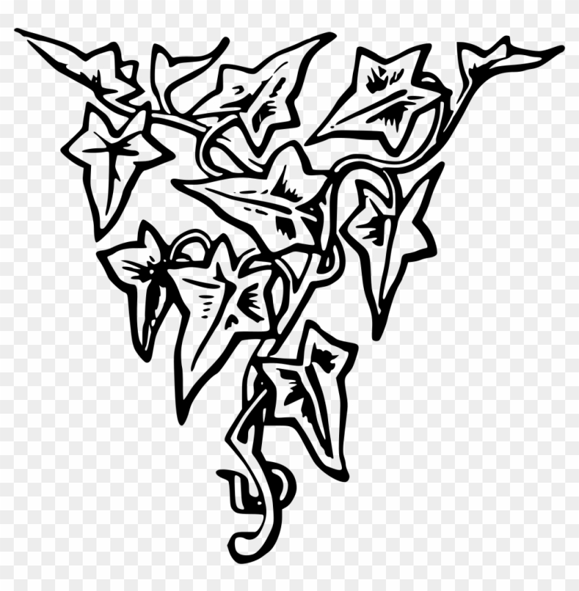 Decorative Divider - Clip Art Dividers Transparent - Full Size PNG ...