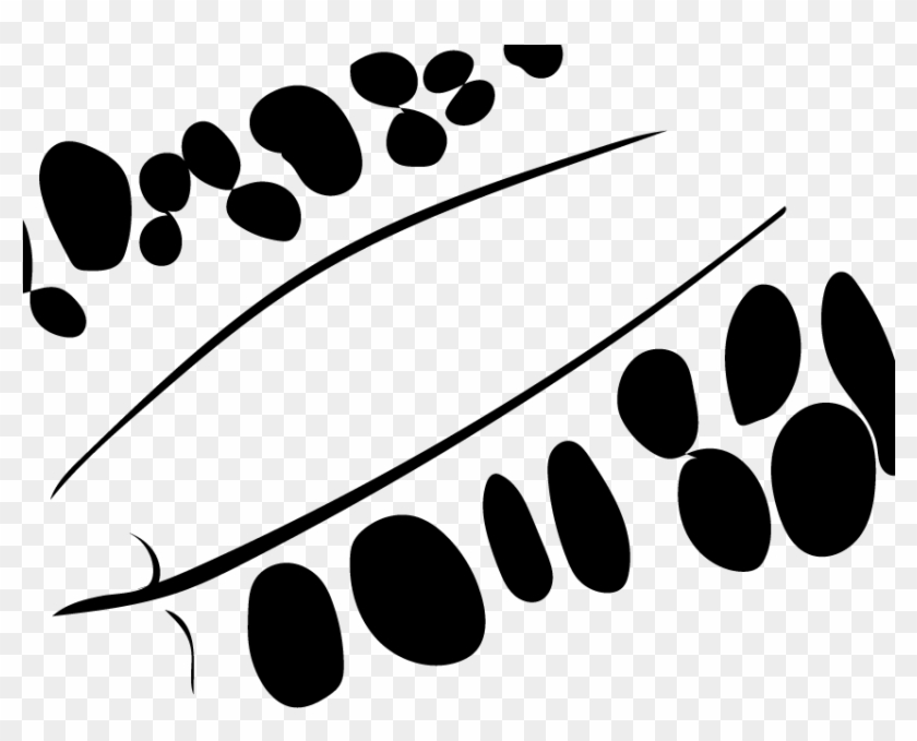 Eucalyptus Pattern - Circle - Full Size PNG Clipart Images Download