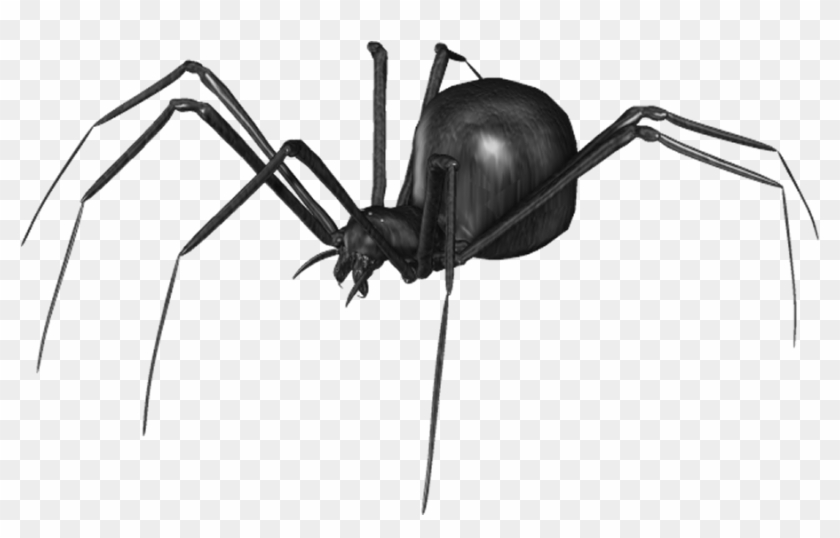 Spider Png Clip Art - Spider - Full Size PNG Clipart Images Download