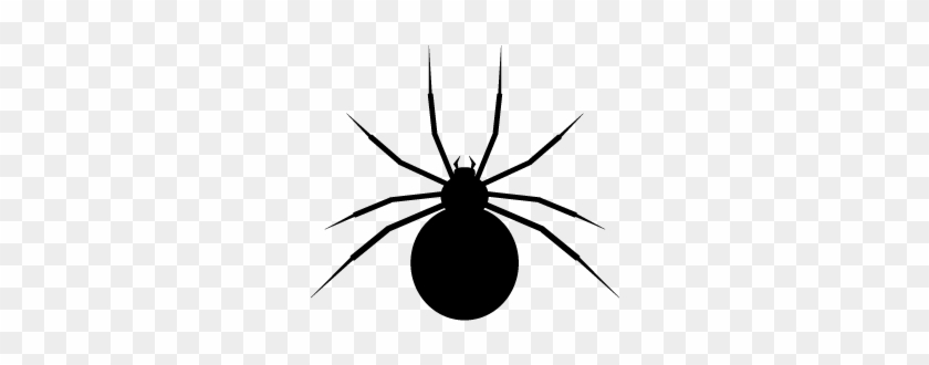 Spider Icon - Black Widow Spider Icon - Full Size PNG Clipart Images ...