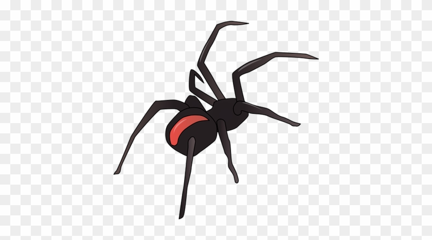 Spider Illustration Free Download Clip Art Free Clip - Redback Spider ...