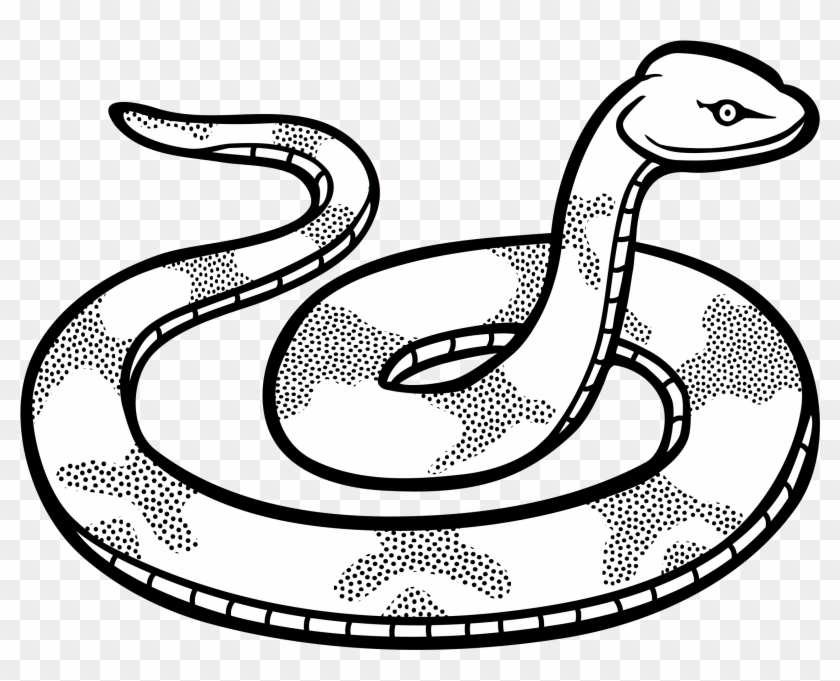 Snake - Lineart - Snake Line Art - Full Size PNG Clipart Images Download