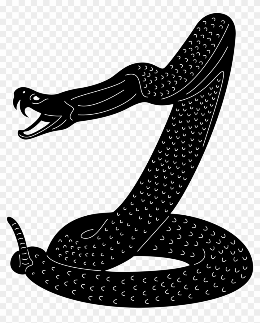 Snake Attack - Snakes - Full Size PNG Clipart Images Download