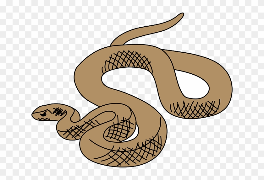 Slither Snake, Brown, Art, Reptile, Slithering, Curled, - Brown Tree ...