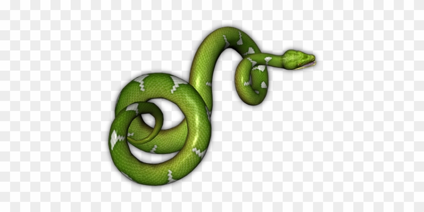 Snakes Png Image - Green Snake No Background - Full Size PNG Clipart ...