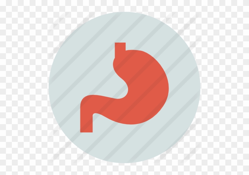 Stomach - Stomach - Full Size PNG Clipart Images Download