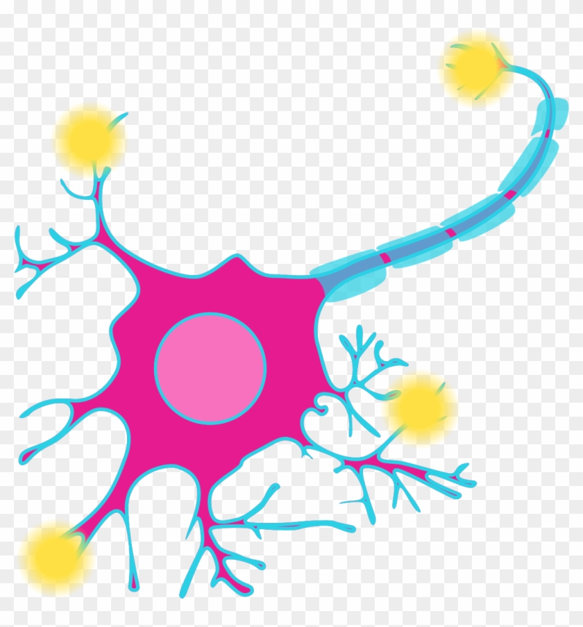 The Brain - Neuron Cell Diagram - Full Size PNG Clipart Images Download