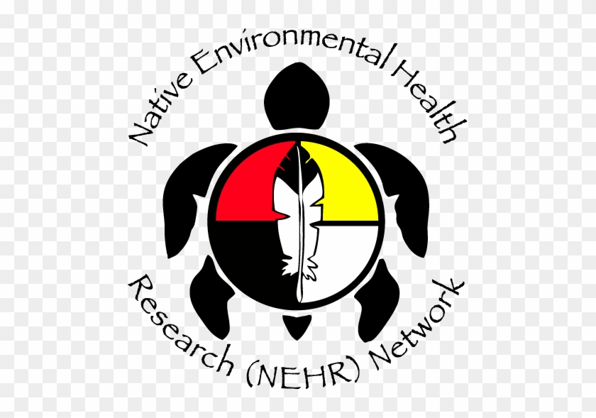 Environmental Health - Sea Turtle - Full Size PNG Clipart Images Download