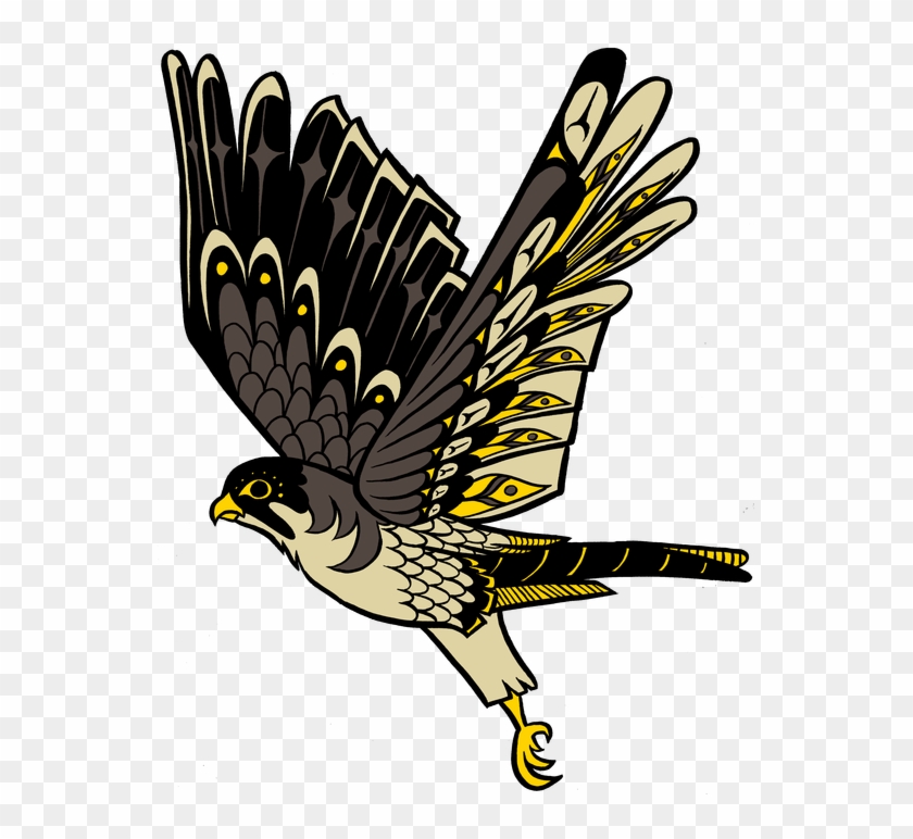 Falcon - Golden Eagle - Full Size PNG Clipart Images Download