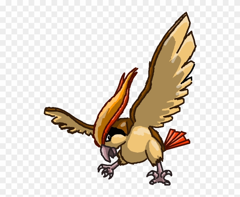 Pidgeot By Superstupidy - Illustration - Free Transparent PNG Clipart ...