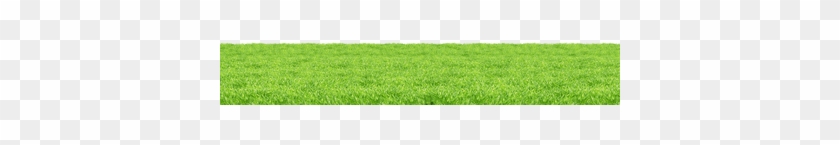 Lawn - Free Transparent PNG Clipart Images Download