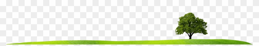 Monroe, Collier, Martin, Hendry And Lee County - Paisajismo Png - Free ...