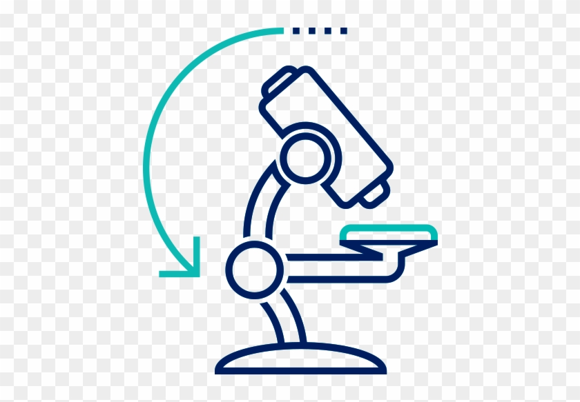 Current Areas Of Focus - Current Areas Of Focus - Full Size PNG Clipart ...