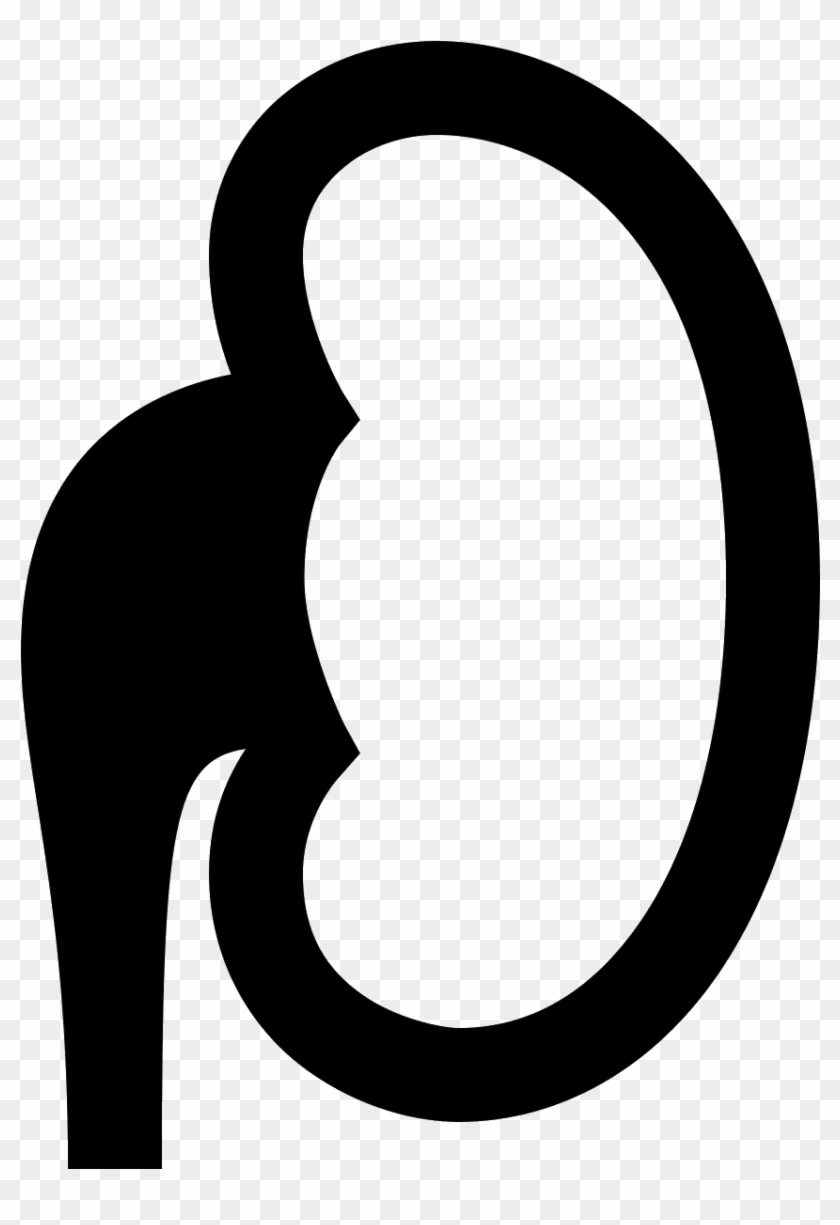 The Icon "kidney" Resembles In General Left Human Kidney - Kidney Icon ...