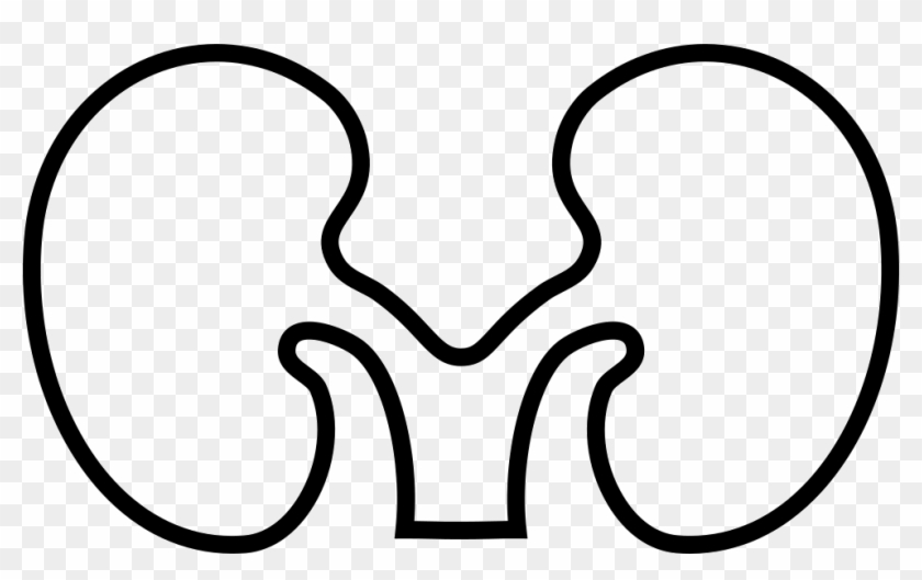 Font Kidney Comments - Font Kidney Comments - Full Size PNG Clipart ...